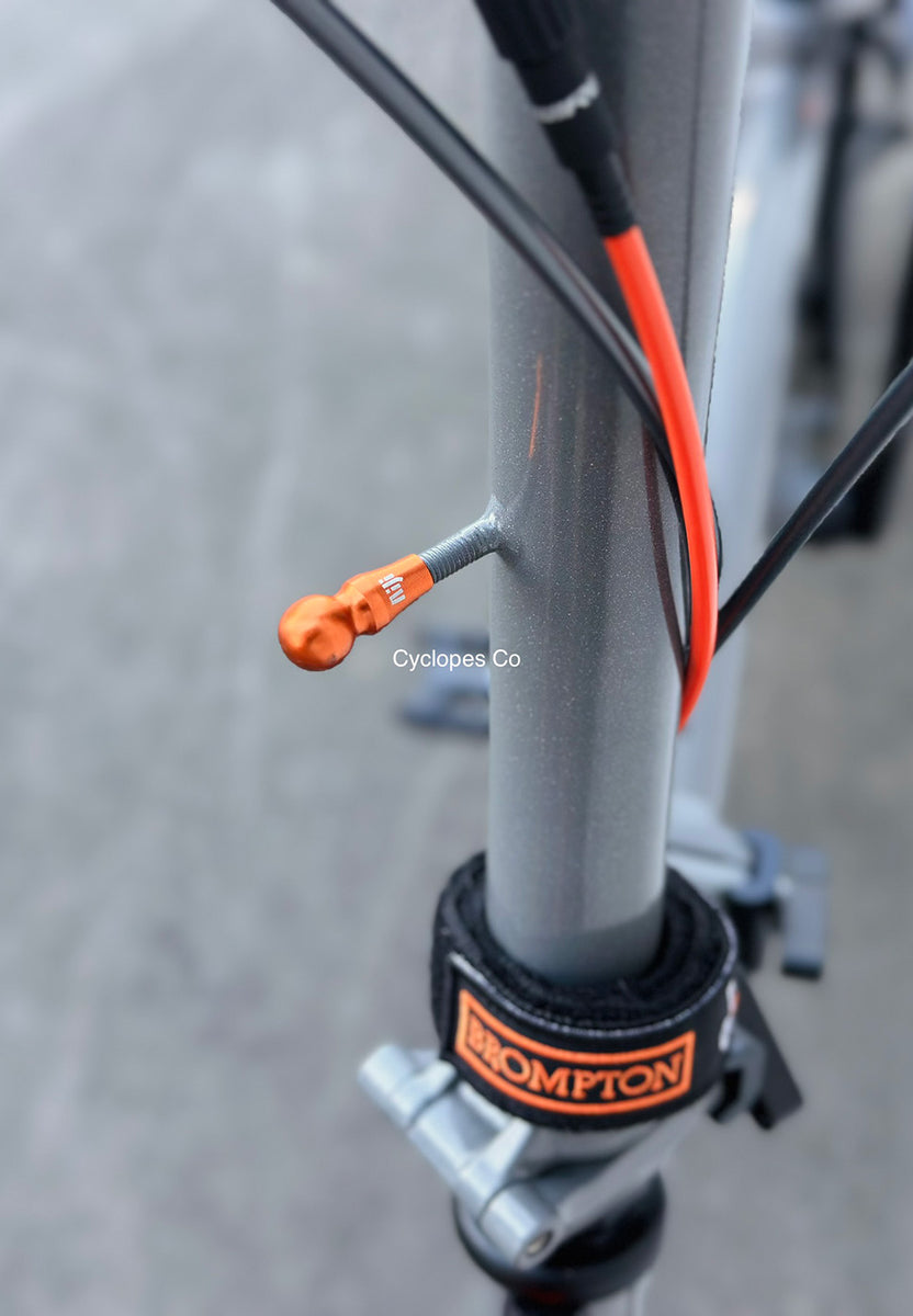 Stem Knob – Cyclopes Co